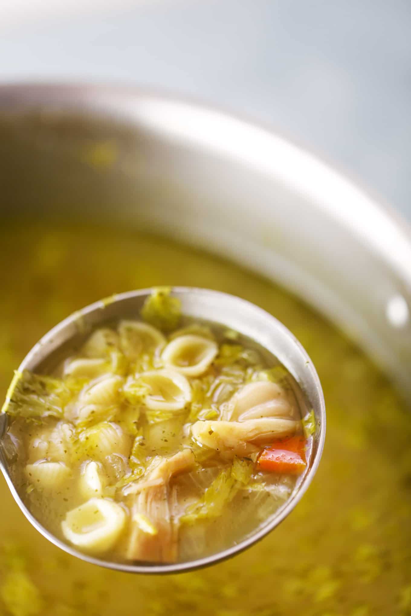 Jackfruit (not chicken) noodle soup | One Bite Vegan